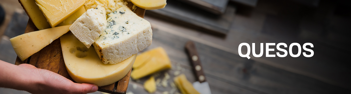 Quesos – DIACO FOODS